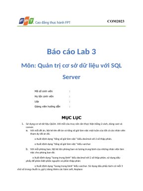 Quản trị cơ sở dữ liệu với SQL SERVER LAB3